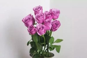 Top 112 Most Beautiful Varieties of Roses - FlowersLib
