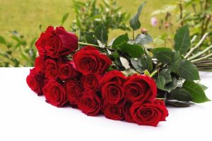 Top 112 Most Beautiful Varieties of Roses - FlowersLib