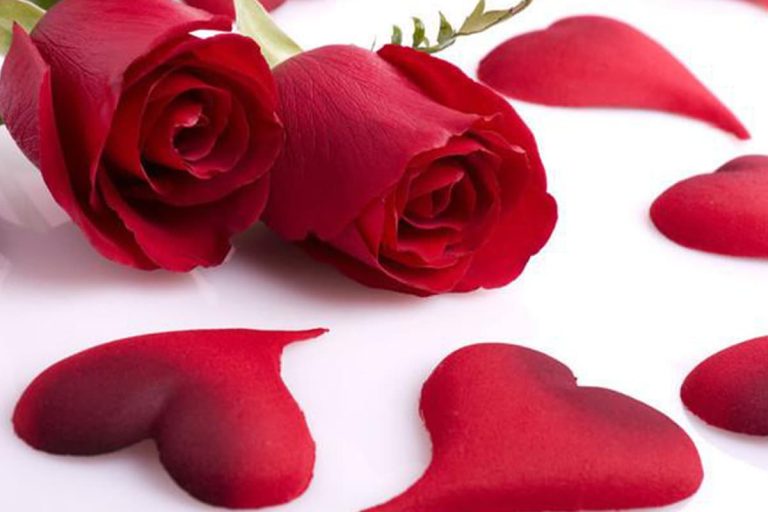 Explore the Allure of Roses: Types, Growth & Care, and More - FlowersLib