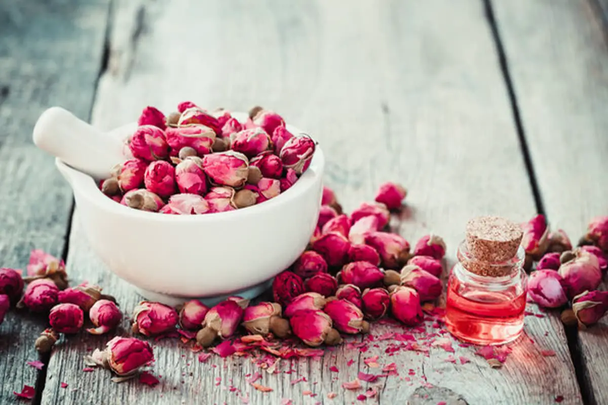 Infusion parfaite de thé à la rose : Combien de roses ? Que mélanger ...